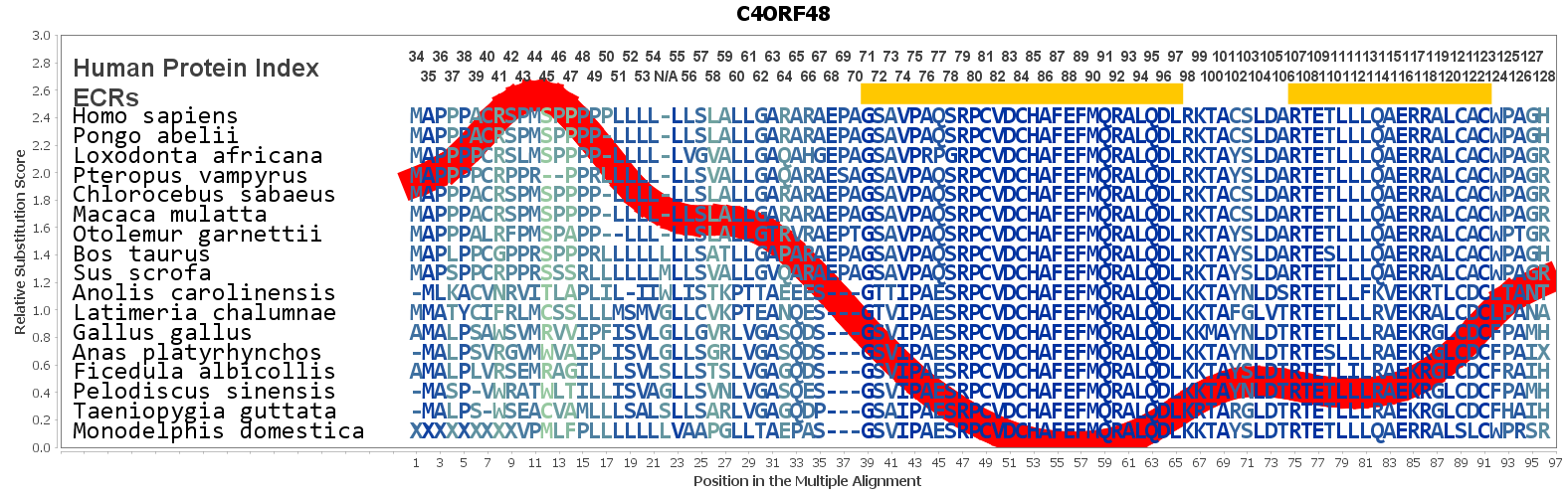 NICOL1 Gene - GeneCards | NICOL Protein | NICOL Antibody