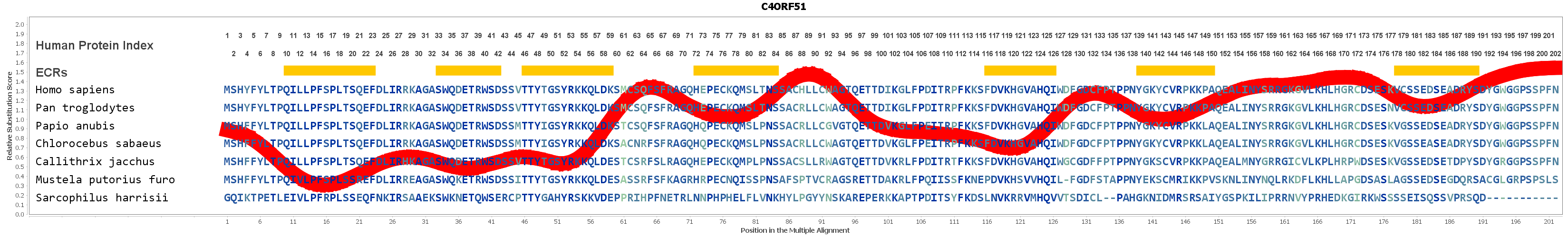 C4orf51 Gene - GeneCards | CD051 Protein | CD051 Antibody