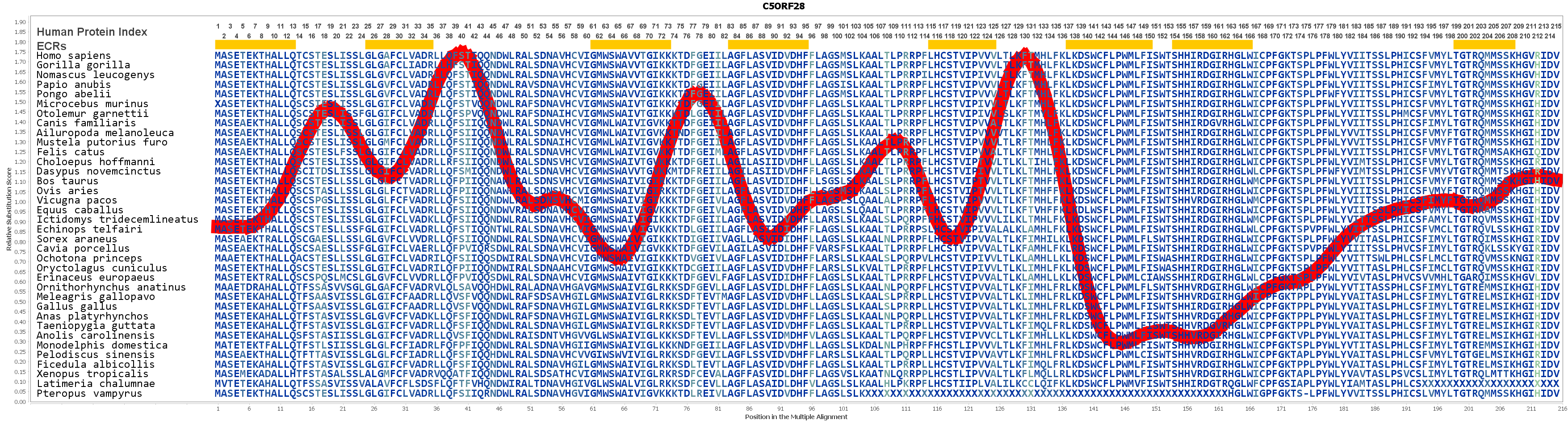 TMEM267 Gene - GeneCards | TM267 Protein | TM267 Antibody