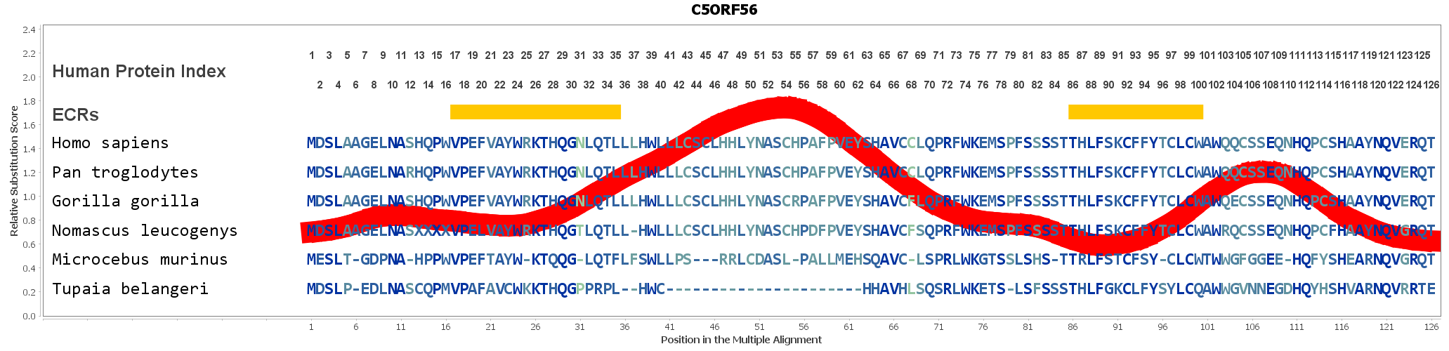 CARINH Gene - GeneCards | CARINH RNA Gene