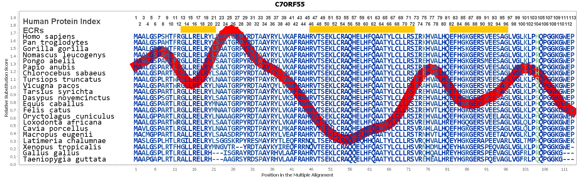 FMC1 Gene - GeneCards | FMC1 Protein | FMC1 Antibody