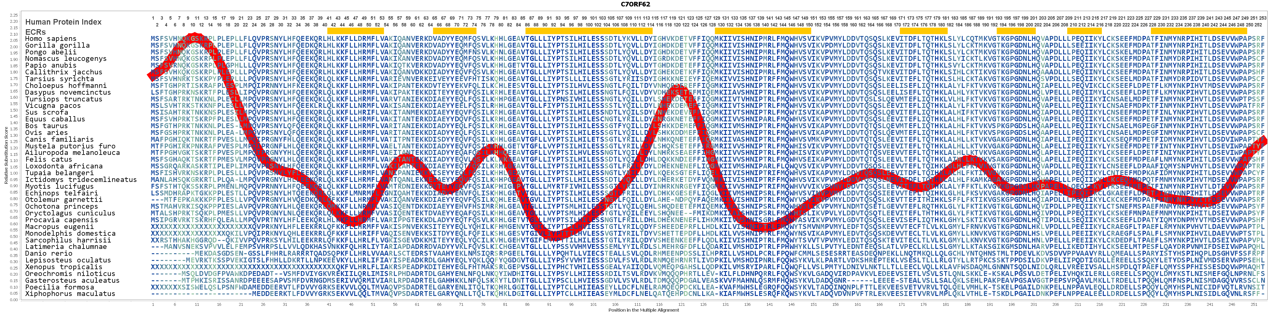TEX47 Gene - GeneCards | TEX47 Protein | TEX47 Antibody