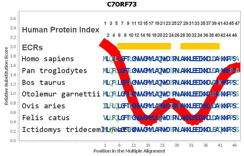STMP1 Gene - GeneCards | STMP1 Protein | STMP1 Antibody