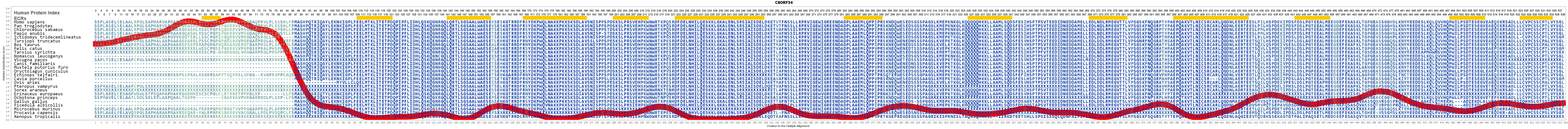 C8orf34 Gene - GeneCards | CH034 Protein | CH034 Antibody