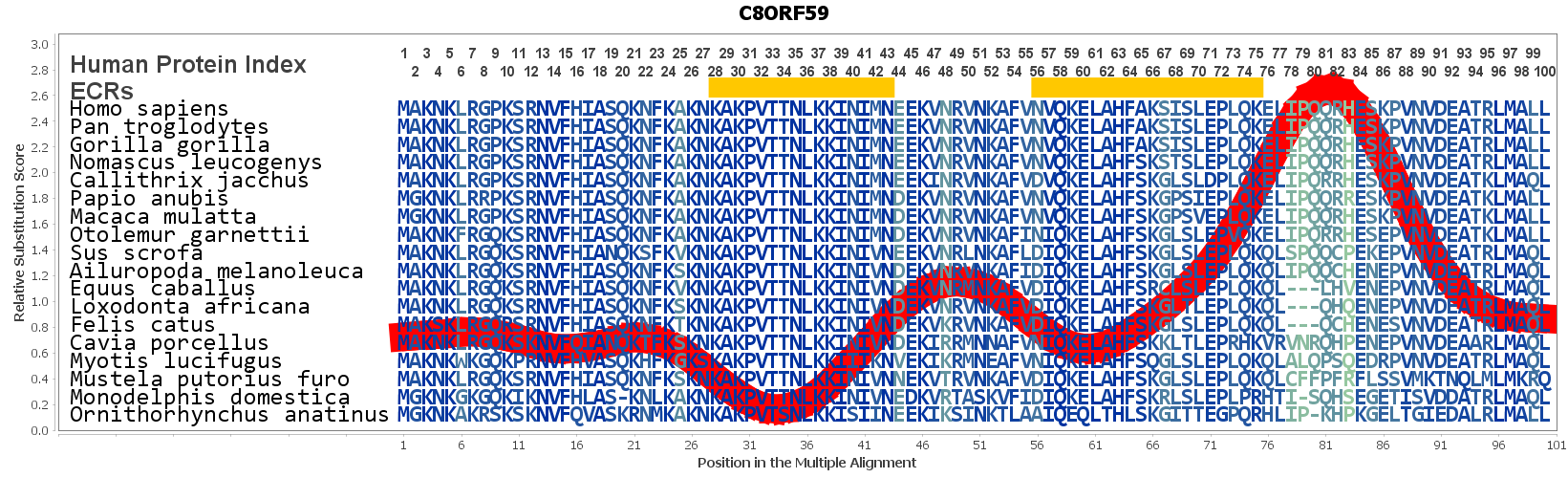 RBIS Gene - GeneCards | RBIS Protein | RBIS Antibody