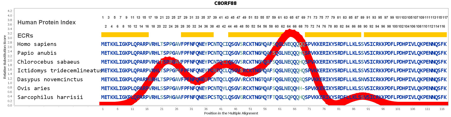 C8orf88 Gene - GeneCards | CH088 Protein | CH088 Antibody