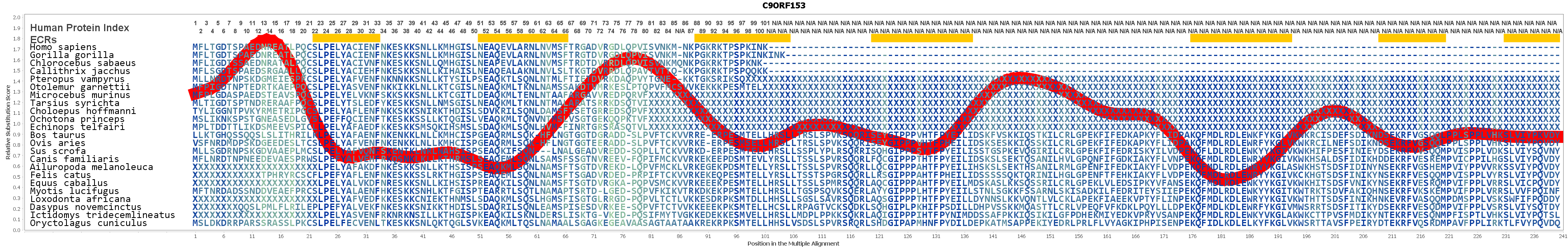C9orf153 Gene - GeneCards | CI153 Protein | CI153 Antibody