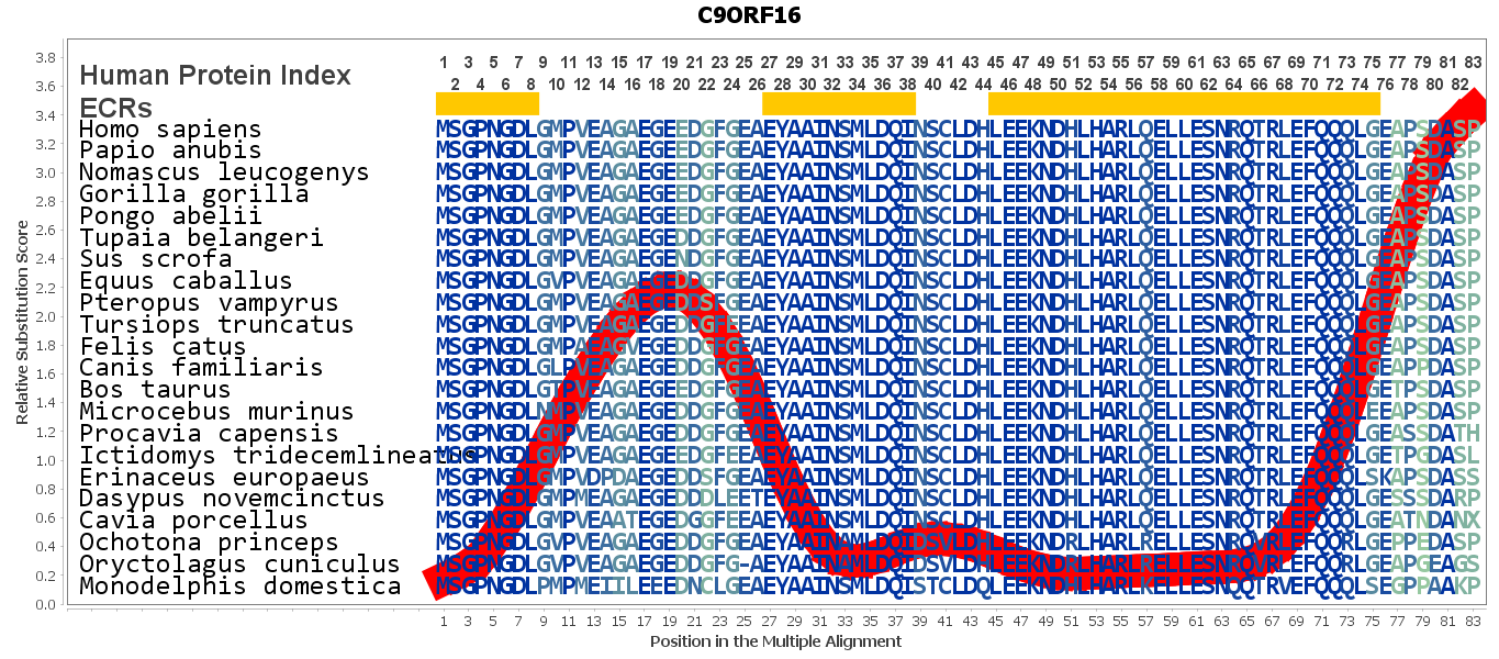 BBLN Gene - GeneCards | BBLN Protein | BBLN Antibody
