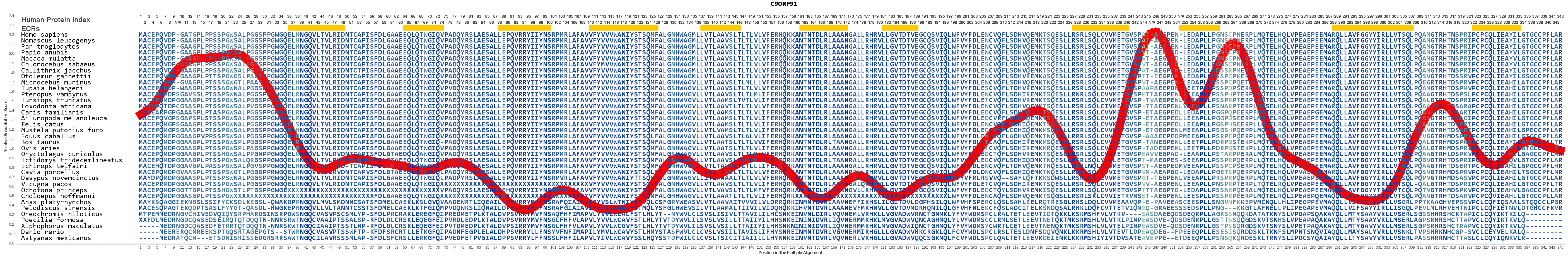 TMEM268 Gene - GeneCards | TM268 Protein | TM268 Antibody