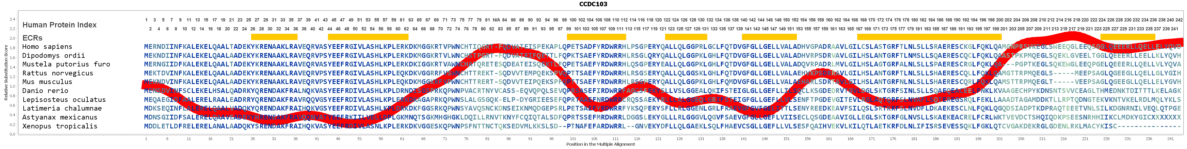 DNAAF19 Gene - GeneCards | DAA19 Protein | DAA19 Antibody