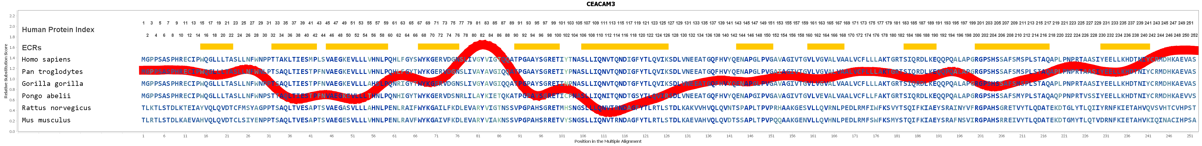 CEACAM3 Gene - GeneCards | CEAM3 Protein | CEAM3 Antibody