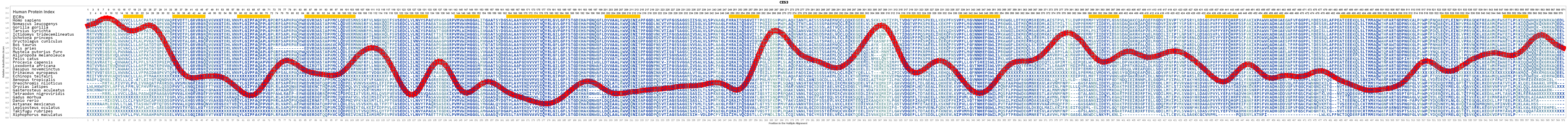CES3 Gene - GeneCards | EST3 Protein | EST3 Antibody