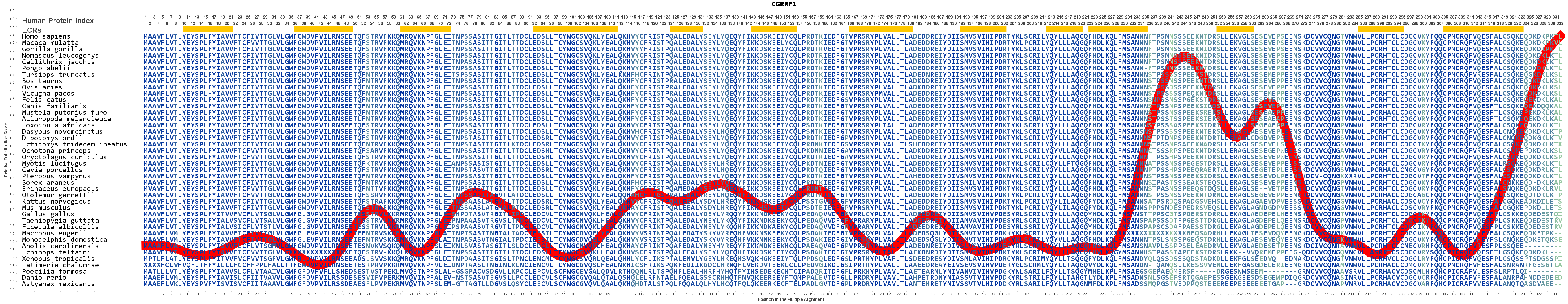 CGRRF1 Gene - GeneCards | CGRF1 Protein | CGRF1 Antibody