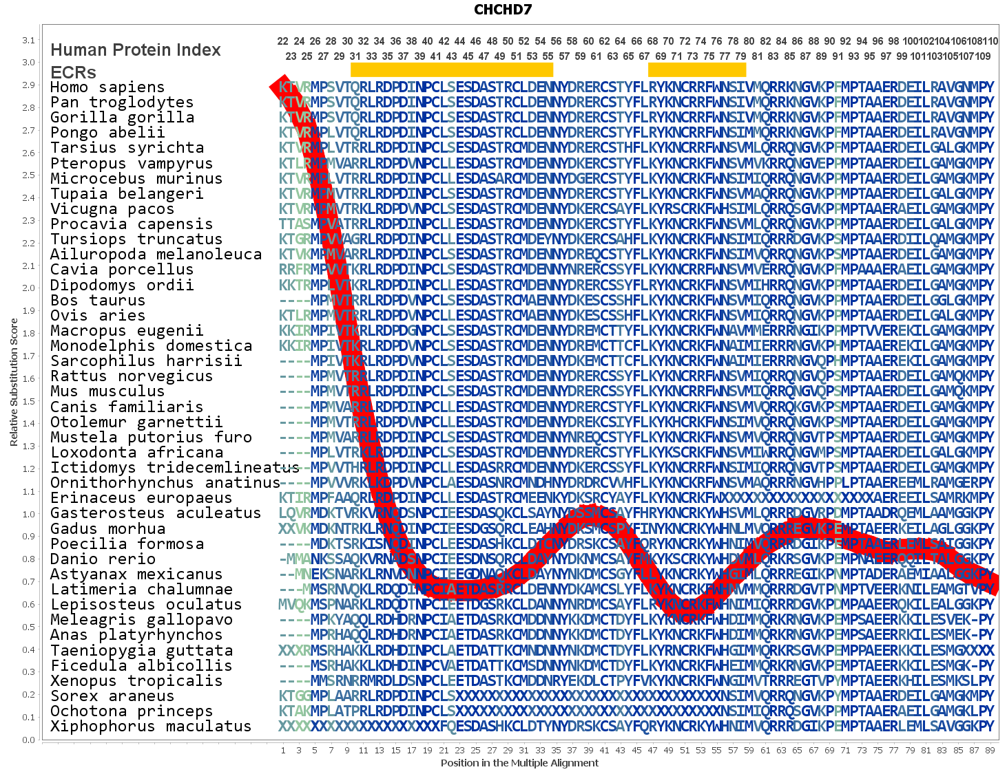 CHCHD7 Gene - GeneCards | CHCH7 Protein | CHCH7 Antibody