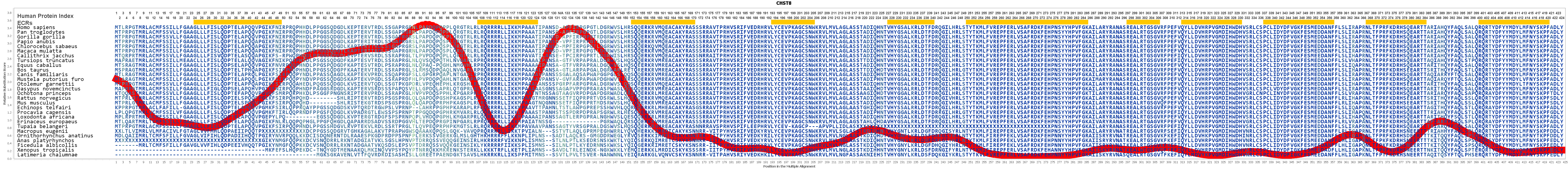CHST8 Gene - GeneCards | CHST8 Protein | CHST8 Antibody