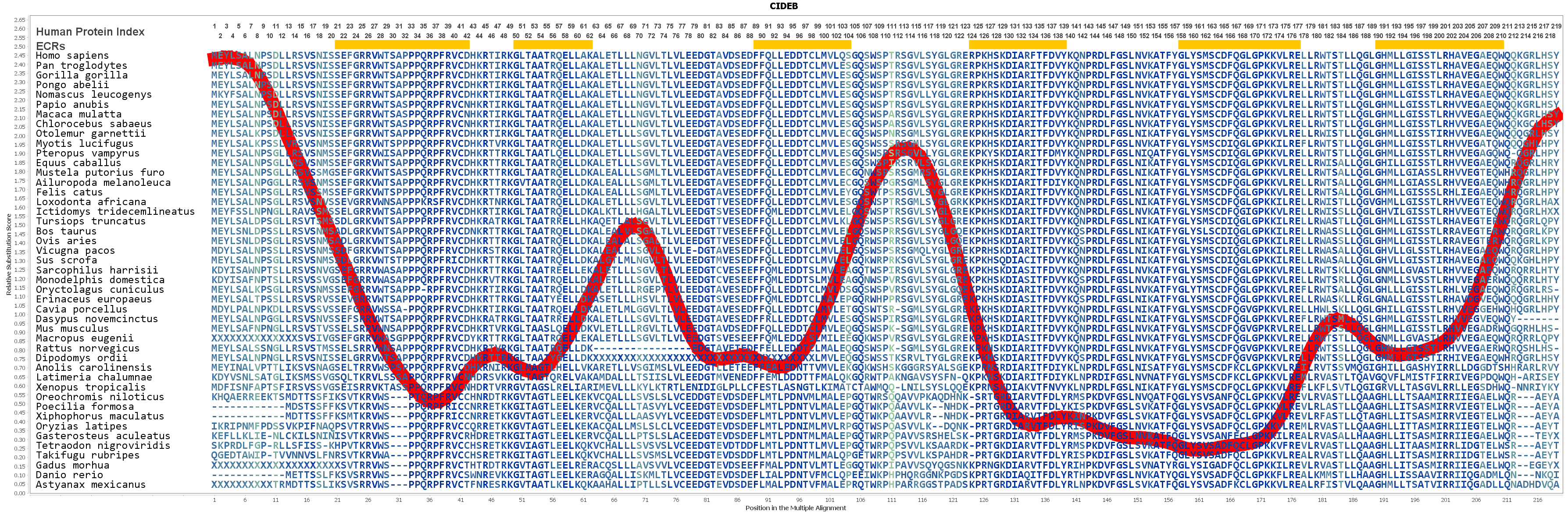 CIDEB Gene - GeneCards | CIDEB Protein | CIDEB Antibody