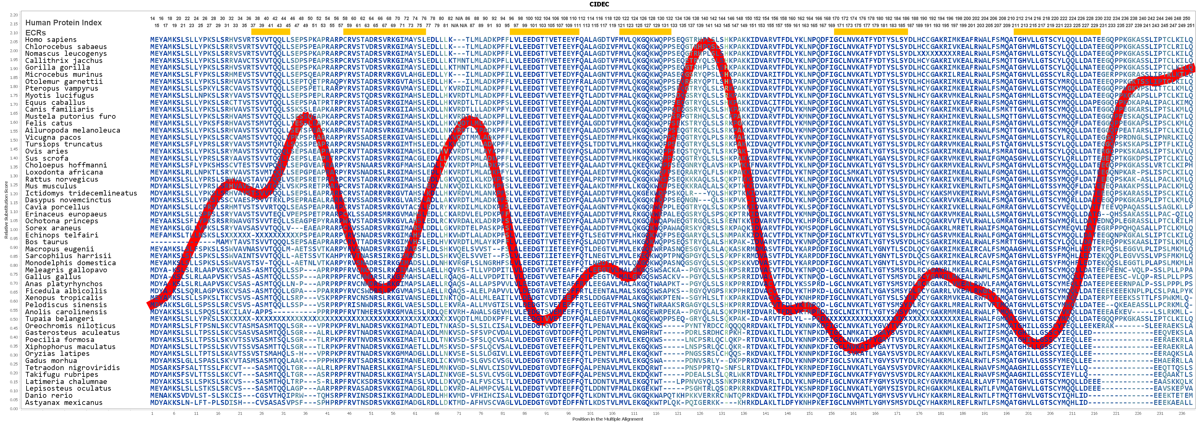 CIDEC Gene - GeneCards | CIDEC Protein | CIDEC Antibody