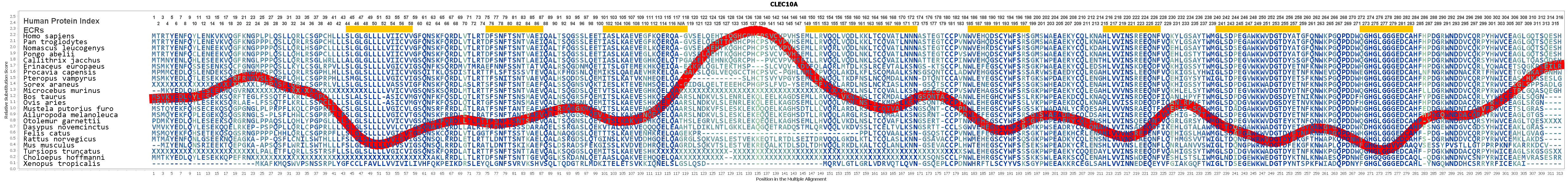 CLEC10A Gene - GeneCards | CLC10 Protein | CLC10 Antibody
