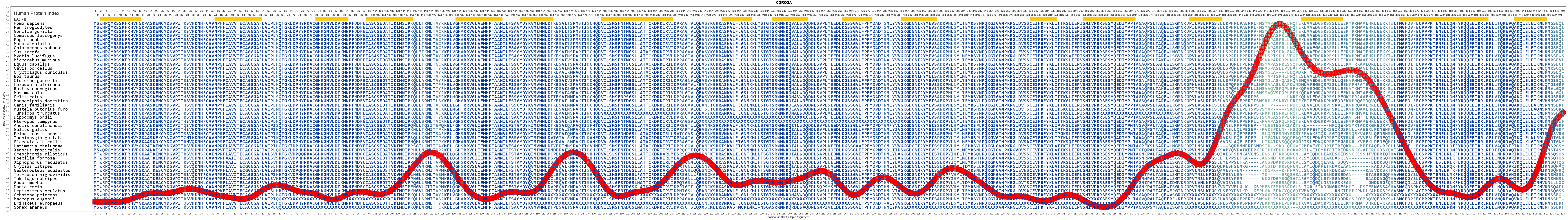 CORO2A Gene - GeneCards | COR2A Protein | COR2A Antibody