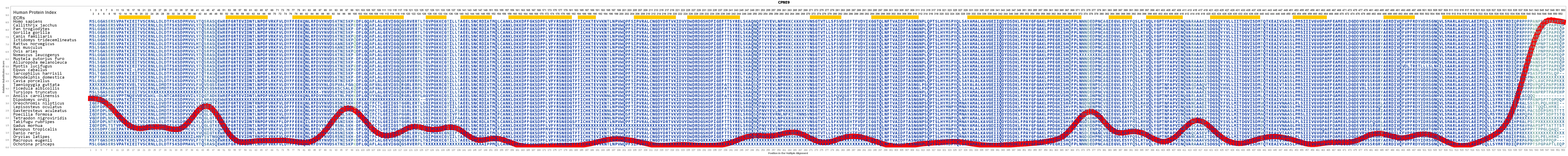 CPNE9 Gene - GeneCards | CPNE9 Protein | CPNE9 Antibody