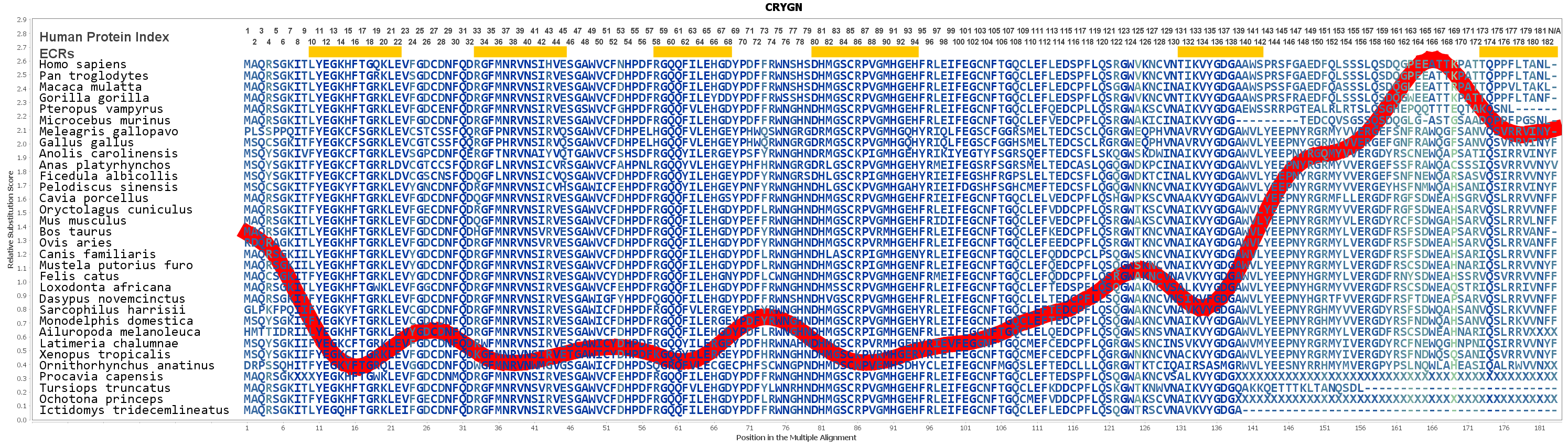 CRYGN Gene - GeneCards | CRGN Protein | CRGN Antibody