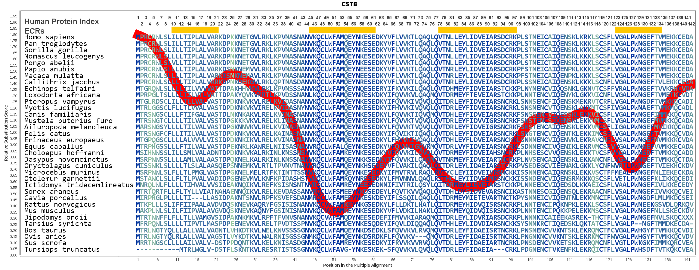 CST8 Gene - GeneCards | CST8 Protein | CST8 Antibody