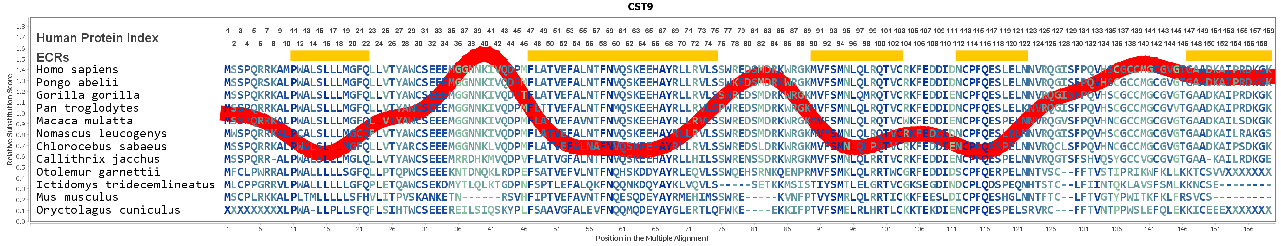 CST9 Gene - GeneCards | CST9 Protein | CST9 Antibody