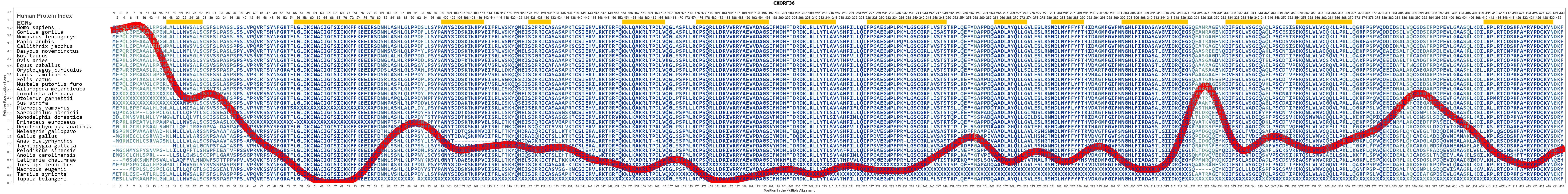 DIPK2B Gene - GeneCards | DIK2B Protein | DIK2B Antibody