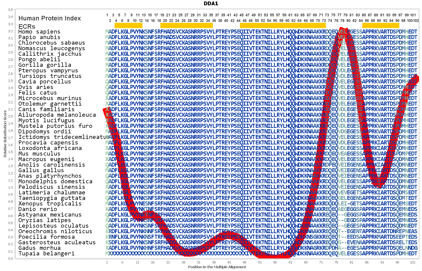 DDA1 Gene - GeneCards | DDA1 Protein | DDA1 Antibody