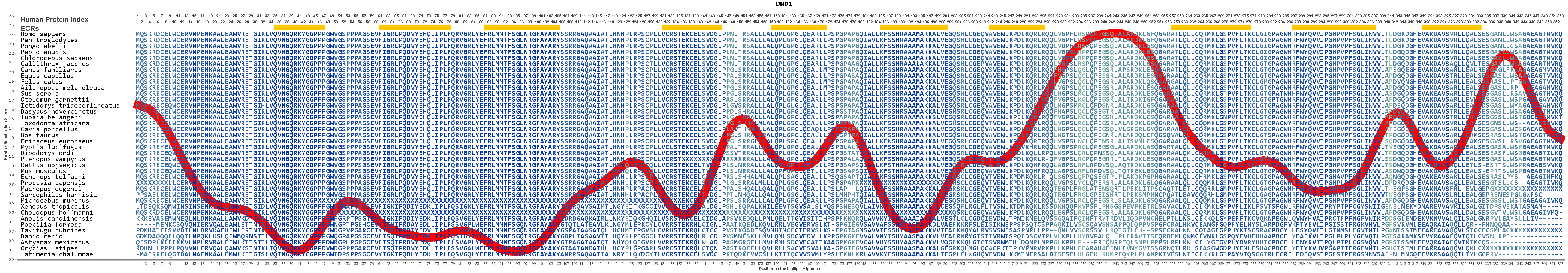 DND1 Gene - GeneCards | DND1 Protein | DND1 Antibody