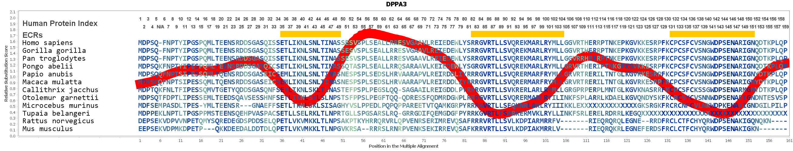 DPPA3 Gene - GeneCards | DPPA3 Protein | DPPA3 Antibody