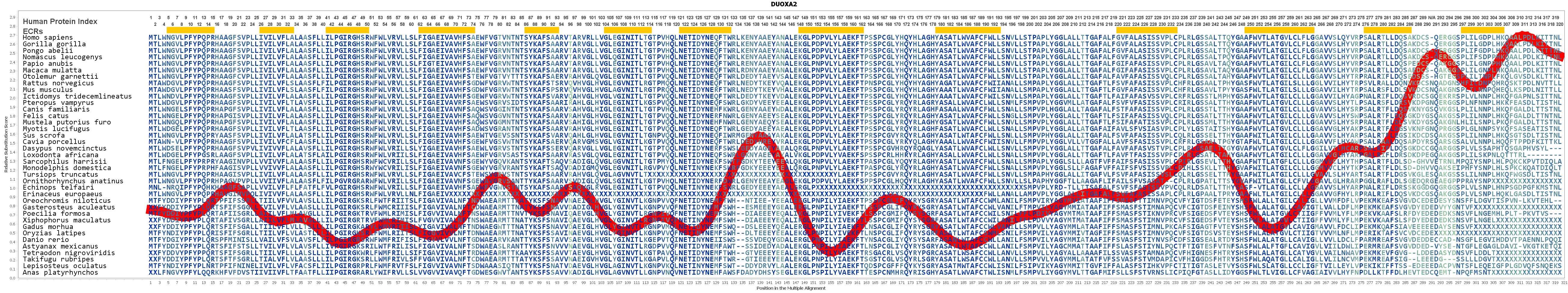 DUOXA2 Gene - GeneCards | DOXA2 Protein | DOXA2 Antibody