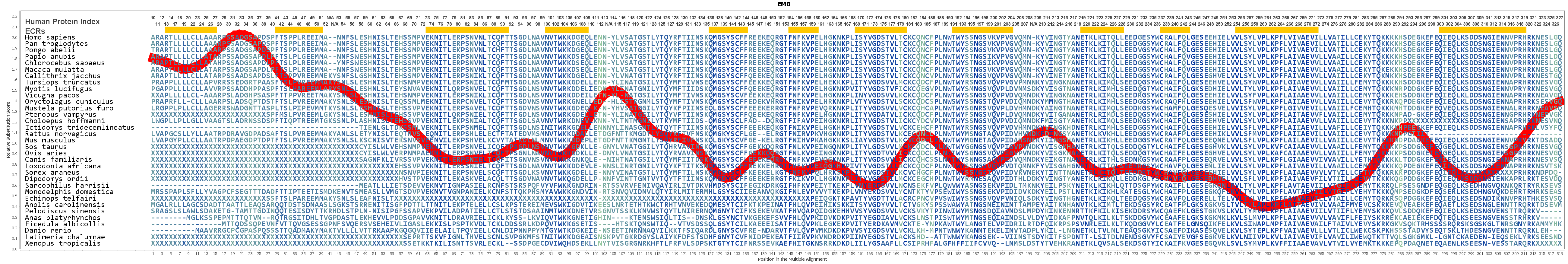 EMB Gene - GeneCards | EMB Protein | EMB Antibody