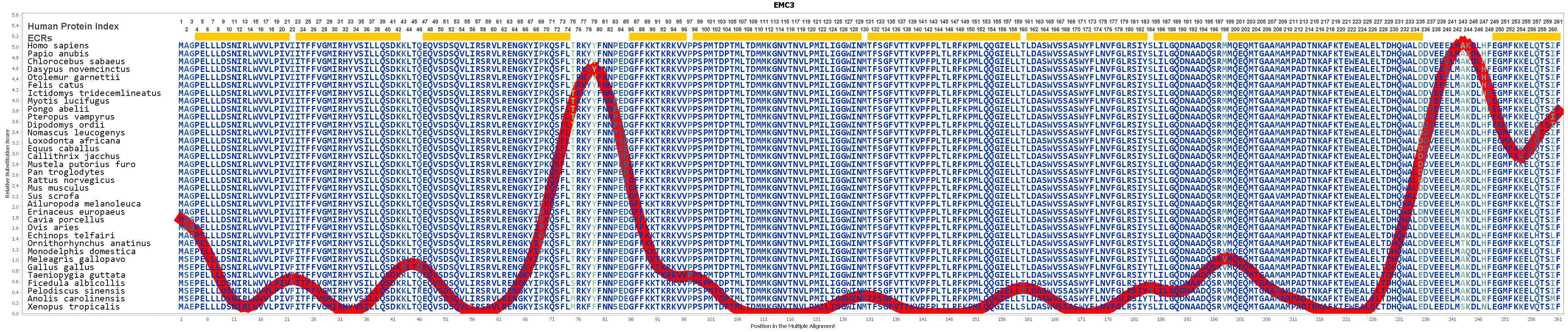 EMC3 Gene - GeneCards | EMC3 Protein | EMC3 Antibody