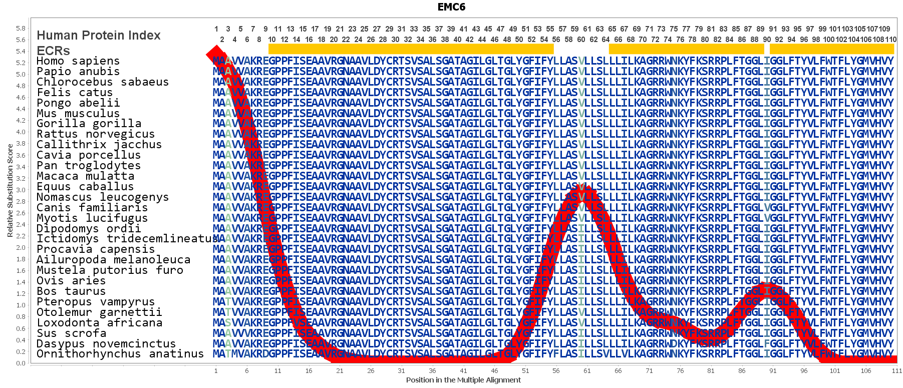 EMC6 Gene - GeneCards | EMC6 Protein | EMC6 Antibody