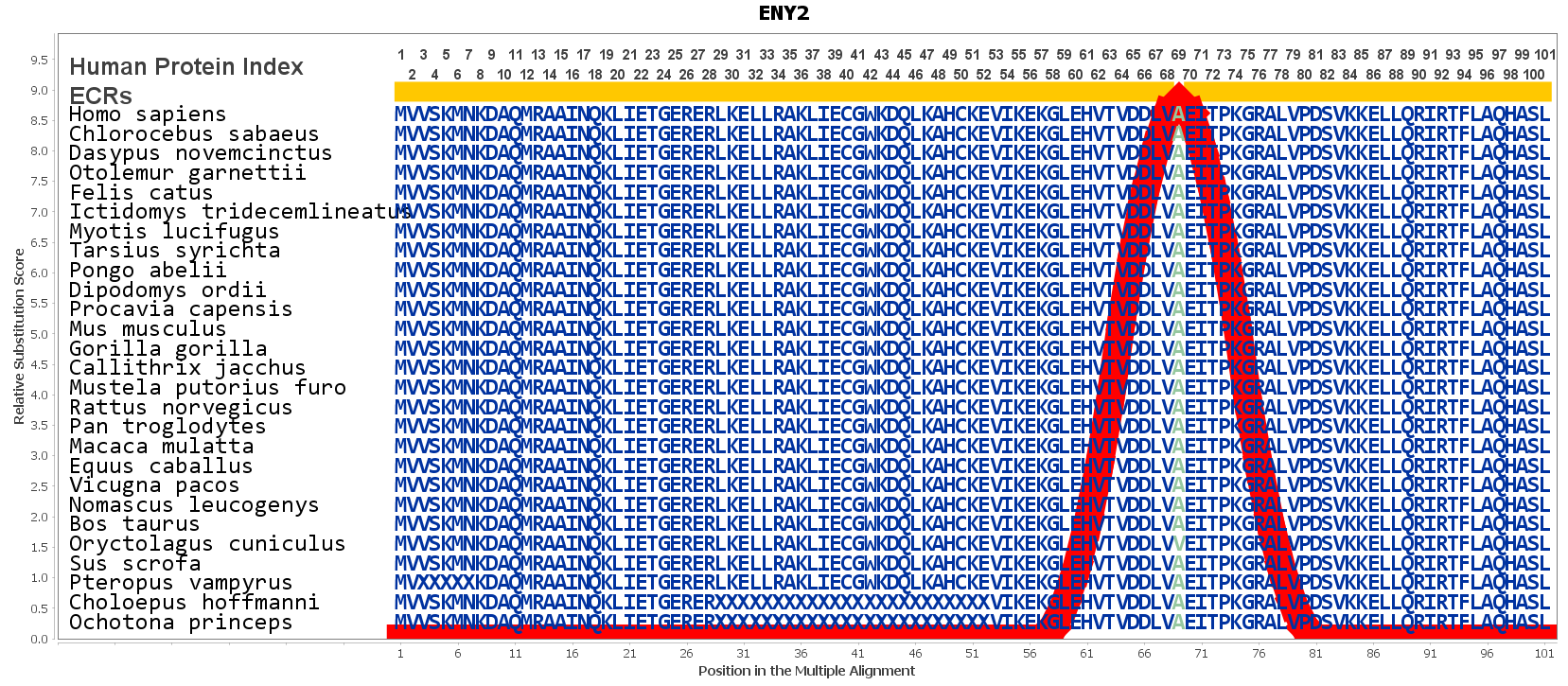 ENY2 Gene - GeneCards | ENY2 Protein | ENY2 Antibody