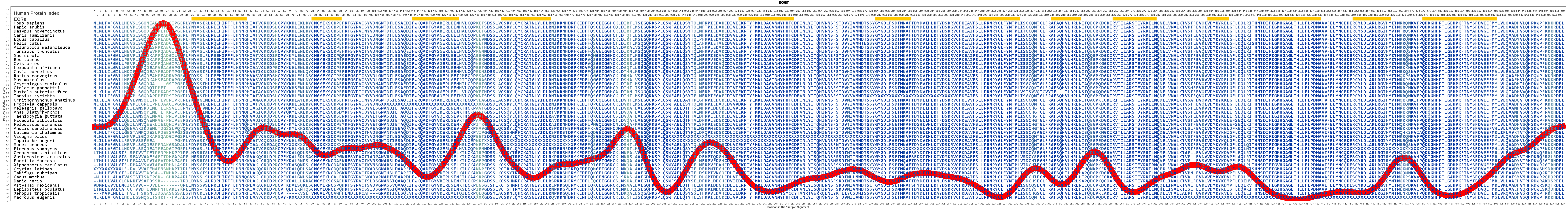 EOGT Gene - GeneCards | EOGT Protein | EOGT Antibody