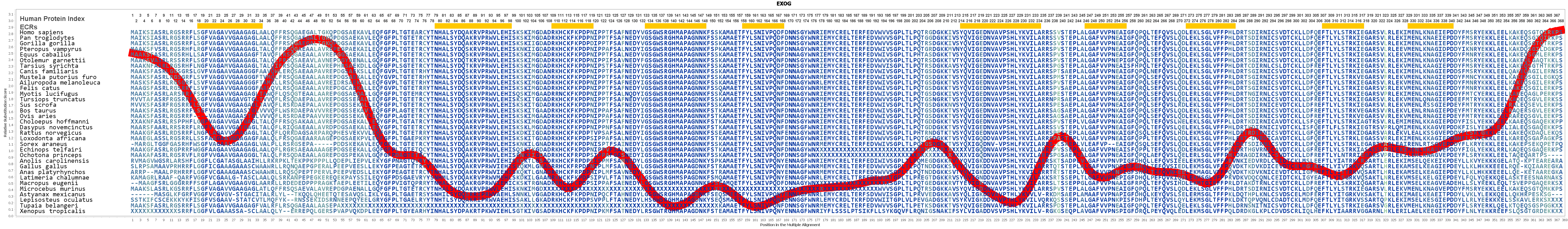 EXOG Gene - GeneCards | EXOG Protein | EXOG Antibody