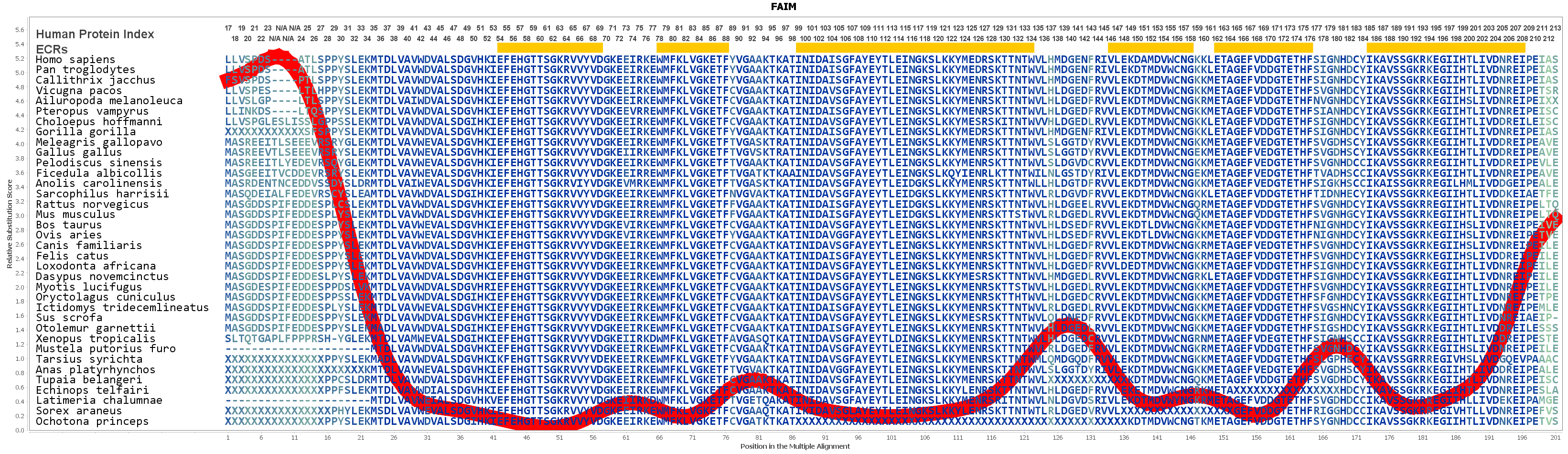 FAIM Gene - GeneCards | FAIM1 Protein | FAIM1 Antibody