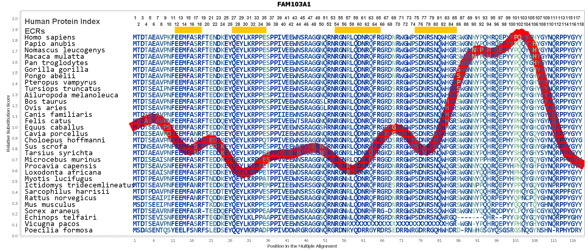 RAMAC Gene - GeneCards | RAMAC Protein | RAMAC Antibody