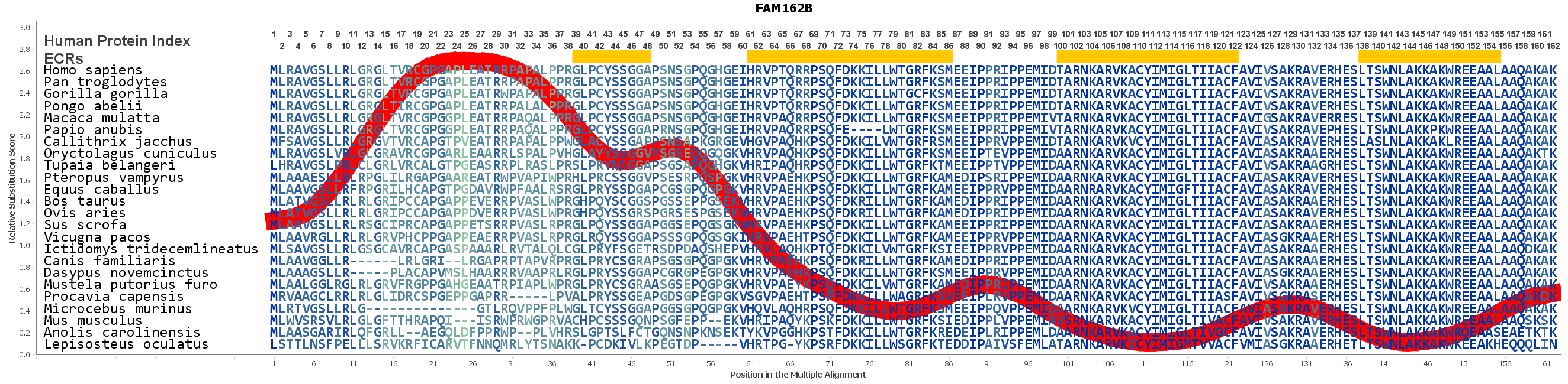 FAM162B Gene - GeneCards | F162B Protein | F162B Antibody