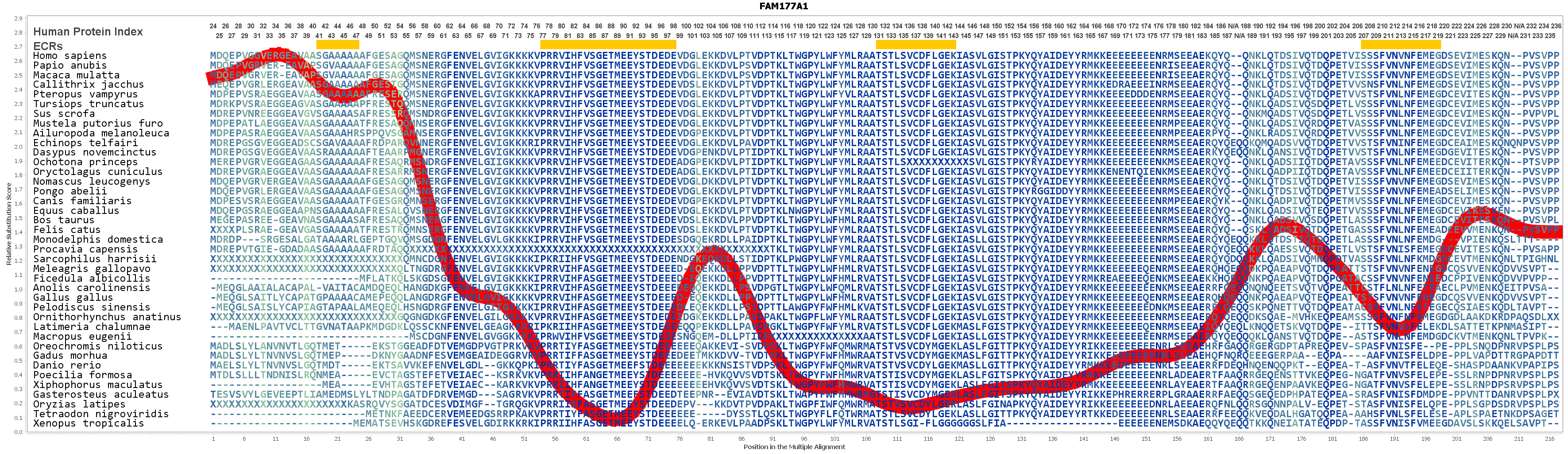 FAM177A1 Gene - GeneCards | F177A Protein | F177A Antibody