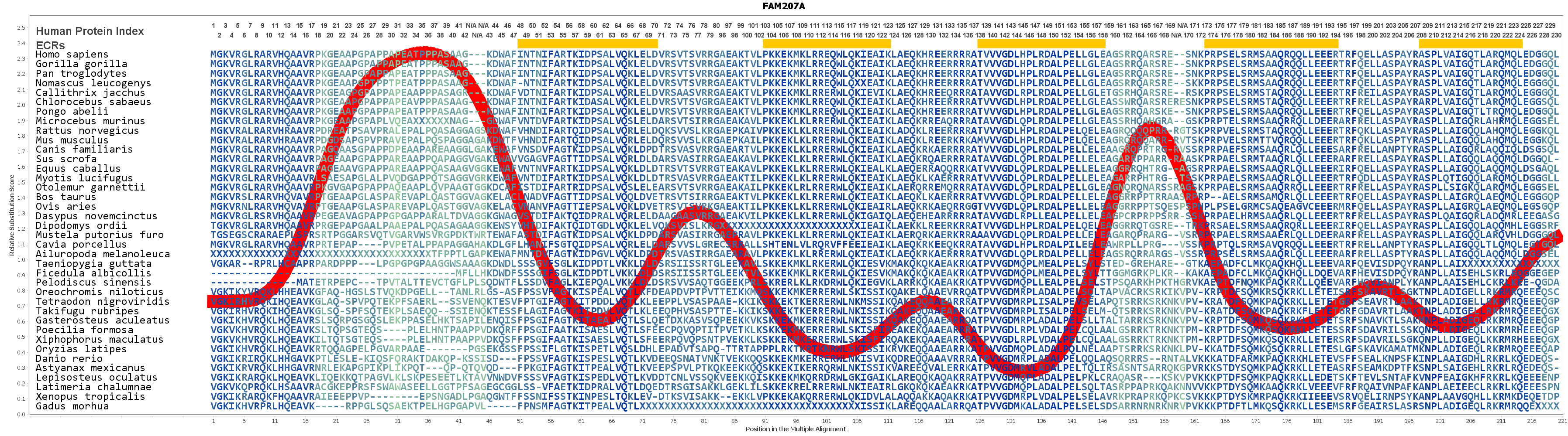 SLX9 Gene - GeneCards | SLX9 Protein | SLX9 Antibody