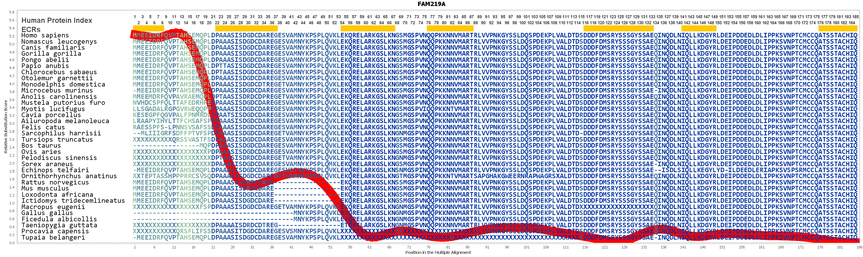 FAM219A Gene - GeneCards | F219A Protein | F219A Antibody