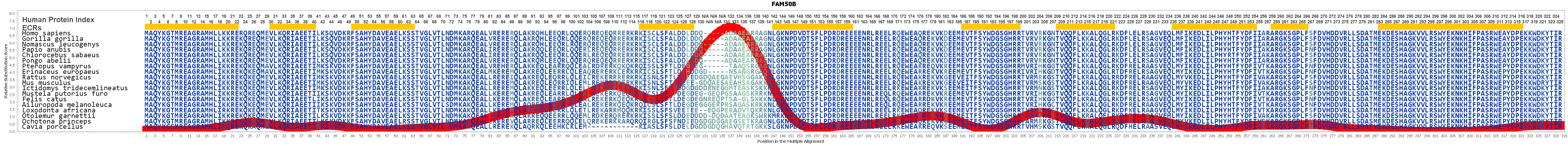 FAM50B Gene - GeneCards | FA50B Protein | FA50B Antibody