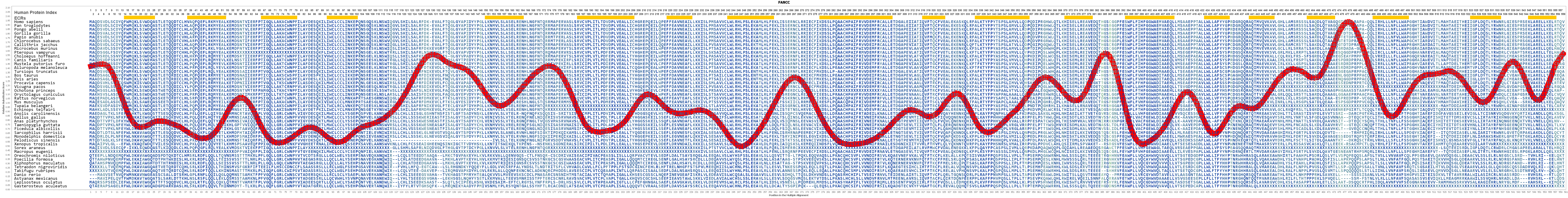 FANCC Gene - GeneCards | FANCC Protein | FANCC Antibody