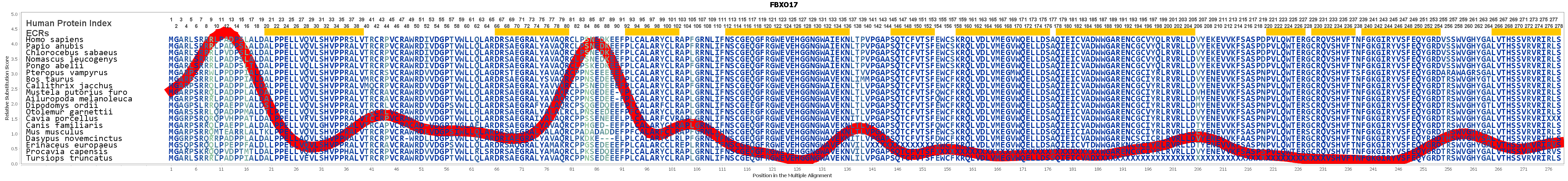 FBXO17 Gene - GeneCards | FBX17 Protein | FBX17 Antibody
