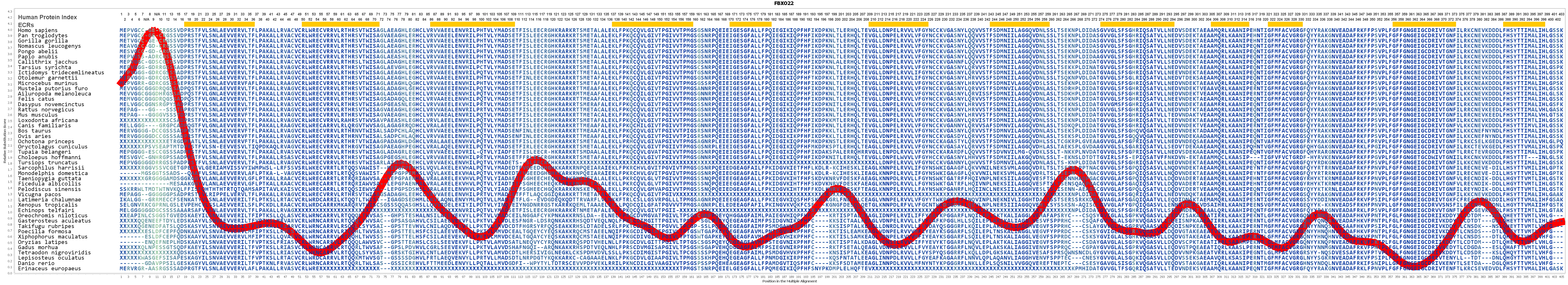 FBXO22 Gene - GeneCards | FBX22 Protein | FBX22 Antibody