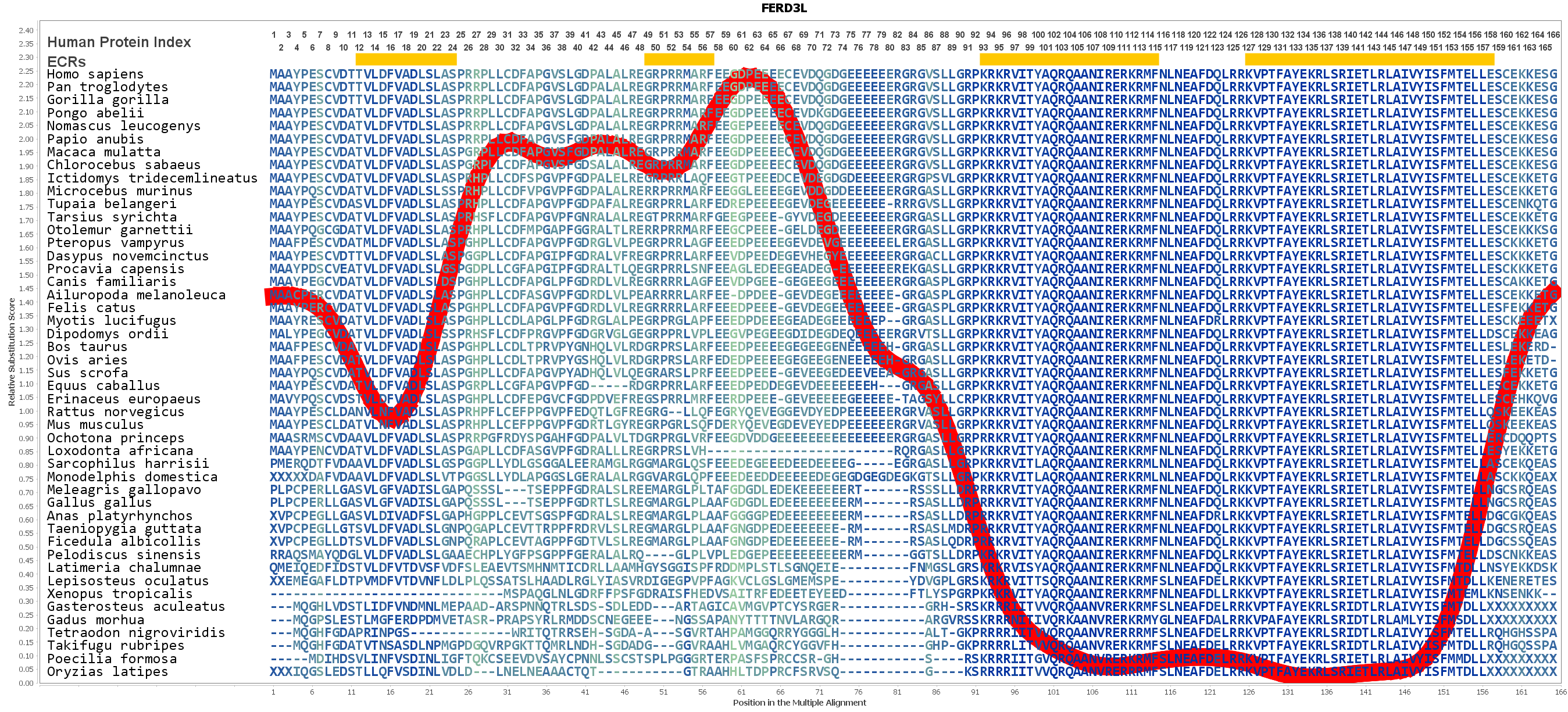 FERD3L Gene - GeneCards | FER3L Protein | FER3L Antibody