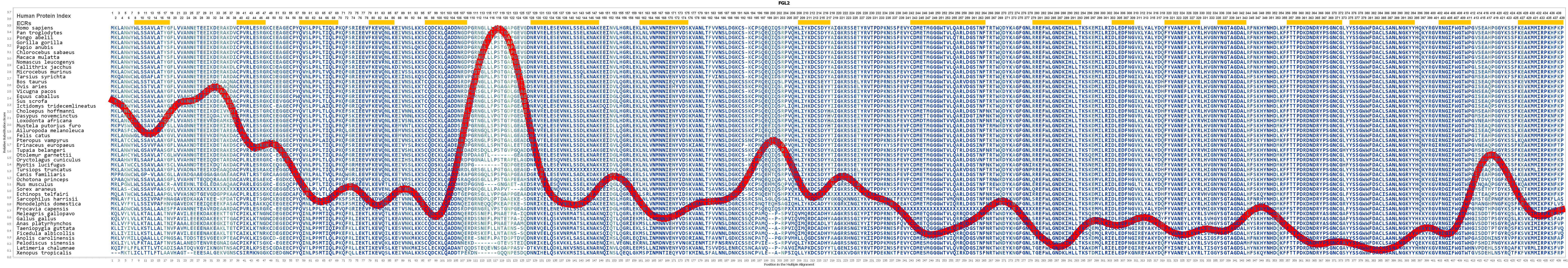 FGL2 Gene - GeneCards | FGL2 Protein | FGL2 Antibody